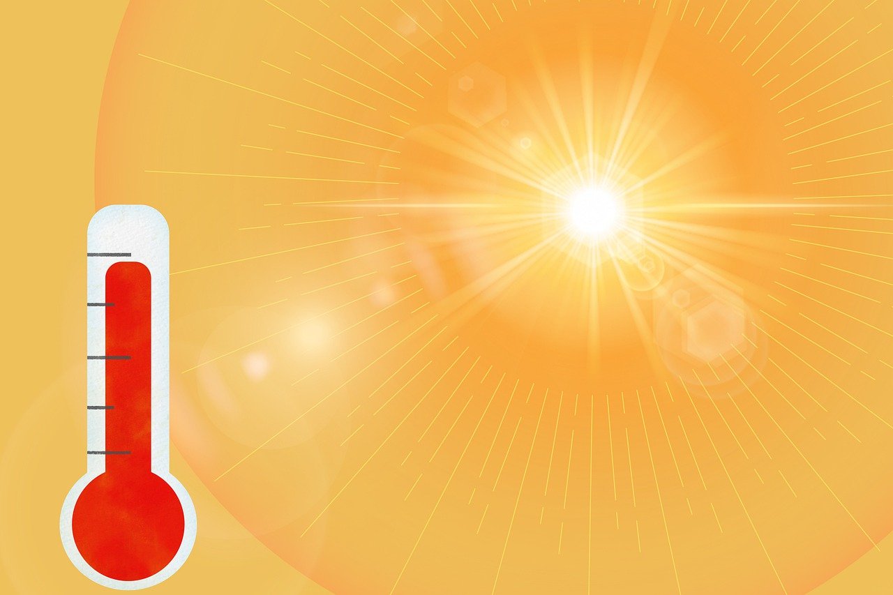 2022 über 60.000 Hitzetote in Europa - MedQN